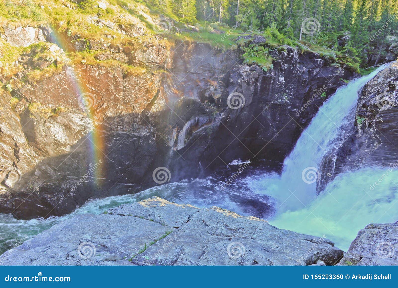 The Dead Waterfall Stock Photography | CartoonDealer.com #66948680