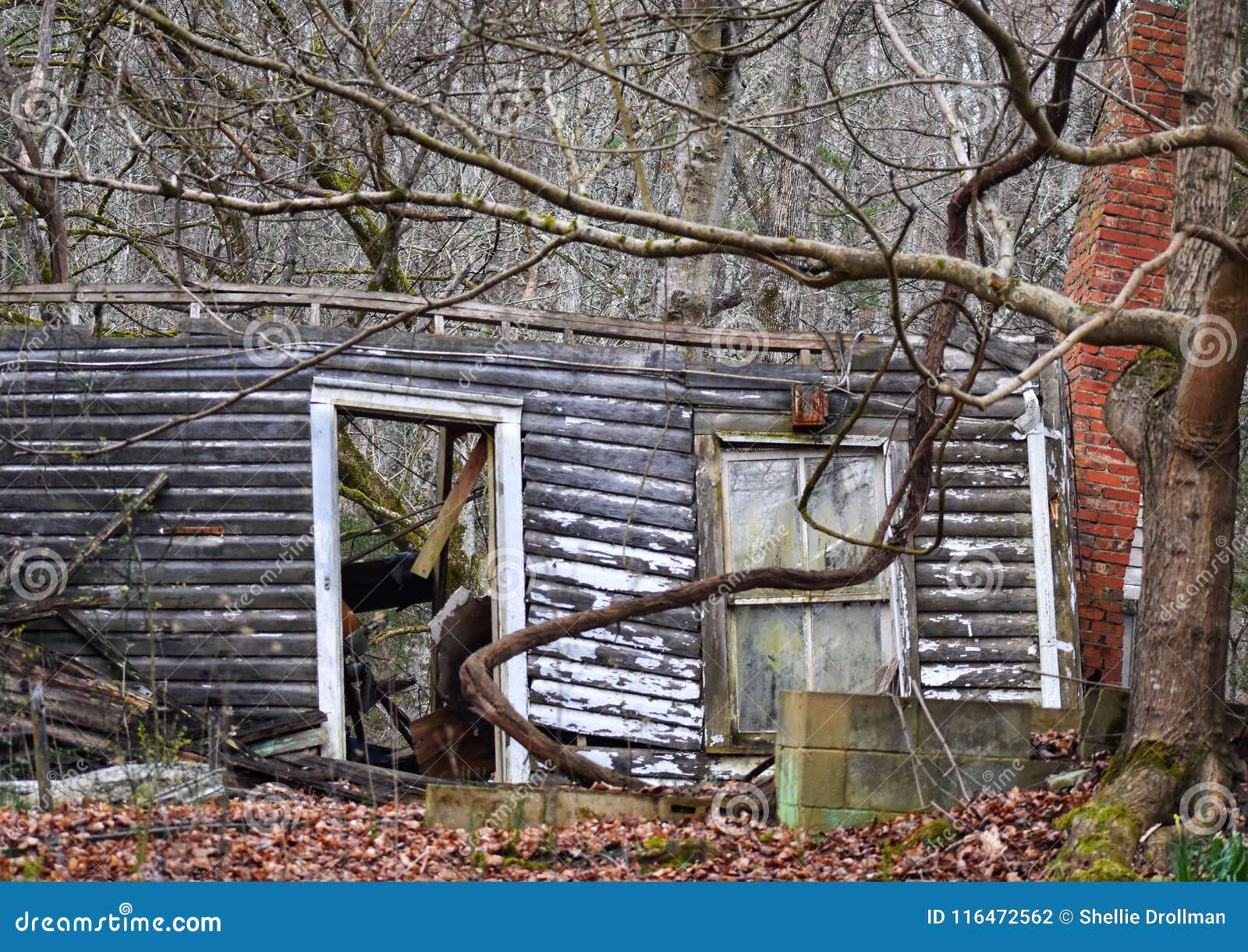 Fallen down house stock photo. Image of wooden, standing - 116472562