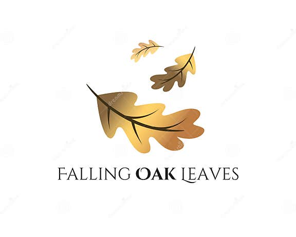Fallen Golden Oak Leaf Logo Stock Vector - Illustration of orange, sign ...