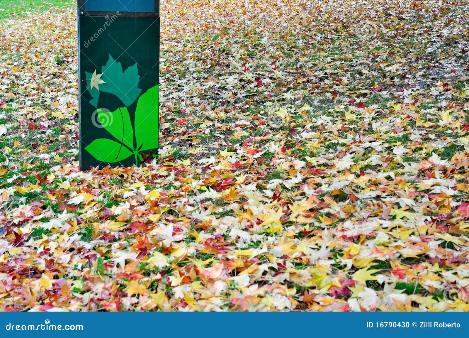 Fallen leaves stock photo. Image of horizontal, signal - 16790430