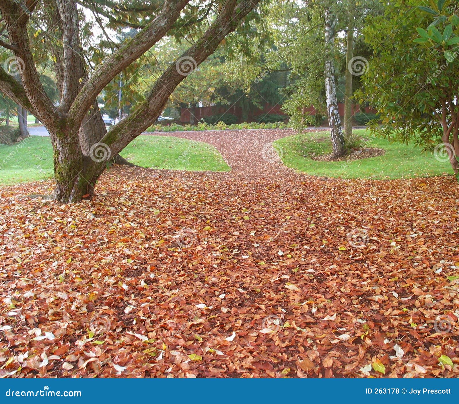 Temporary Pathway Stock Photos - Free & Royalty-Free Stock Photos from ...