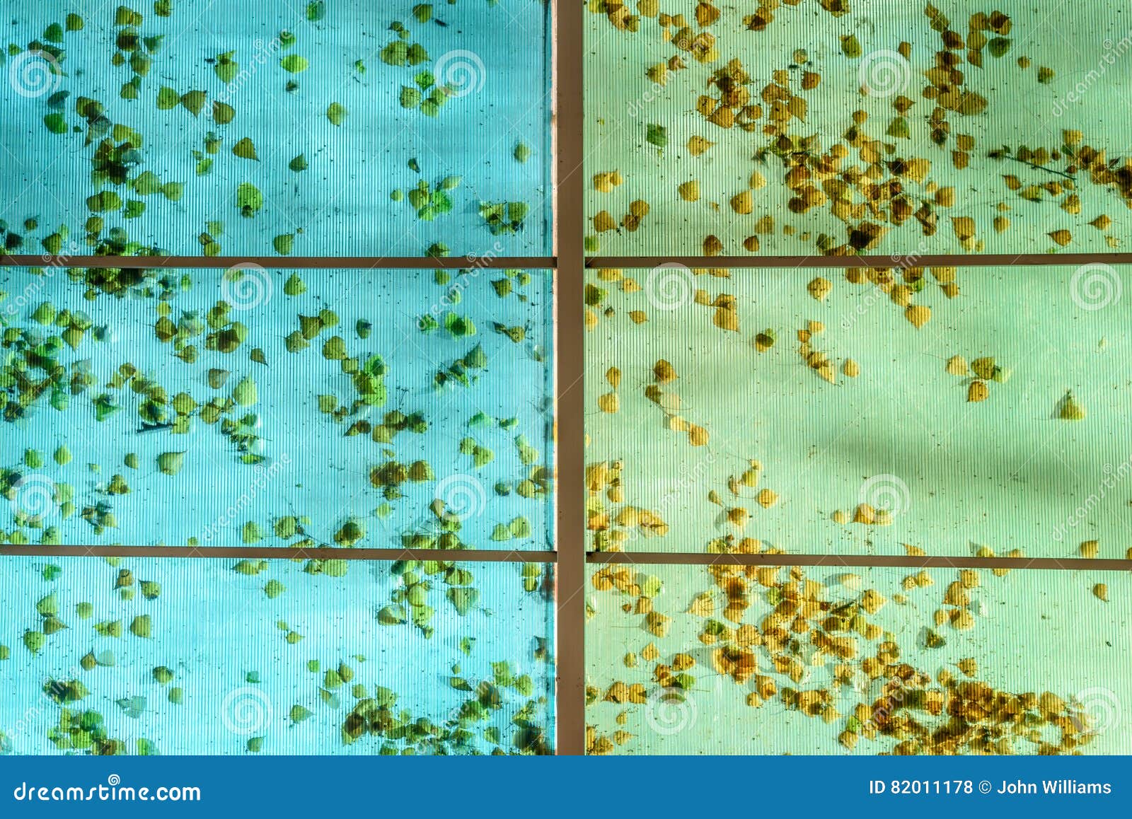 Fallen Leaves Ceiling Background Stock Photo - Image of blue, abstract ...