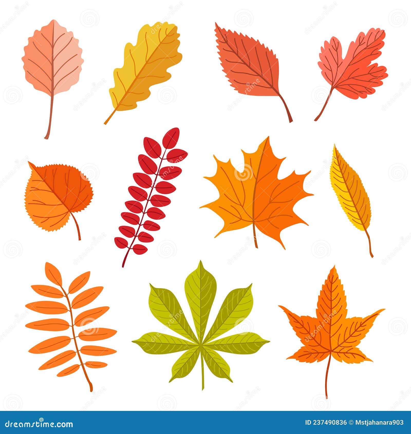 Fallen Leaves of Different Trees Vector Illustrations Set Stock Vector ...