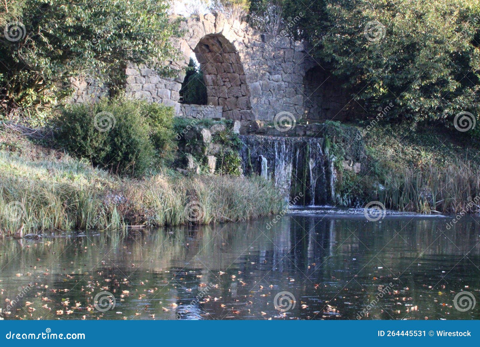 Fallen Leaves Floating on the Lake Surface with the Stone Arch Bridge ...