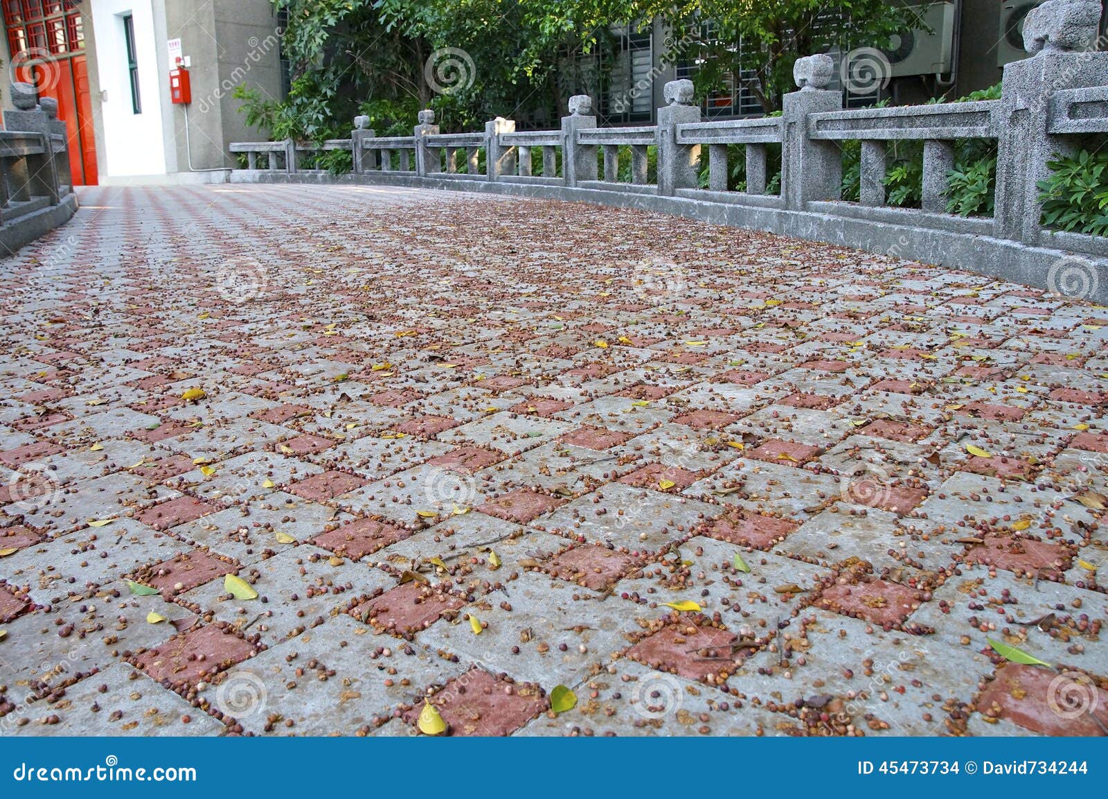 Fallen Leaves and Seeds on Paving Stone Stock Photo - Image of material ...
