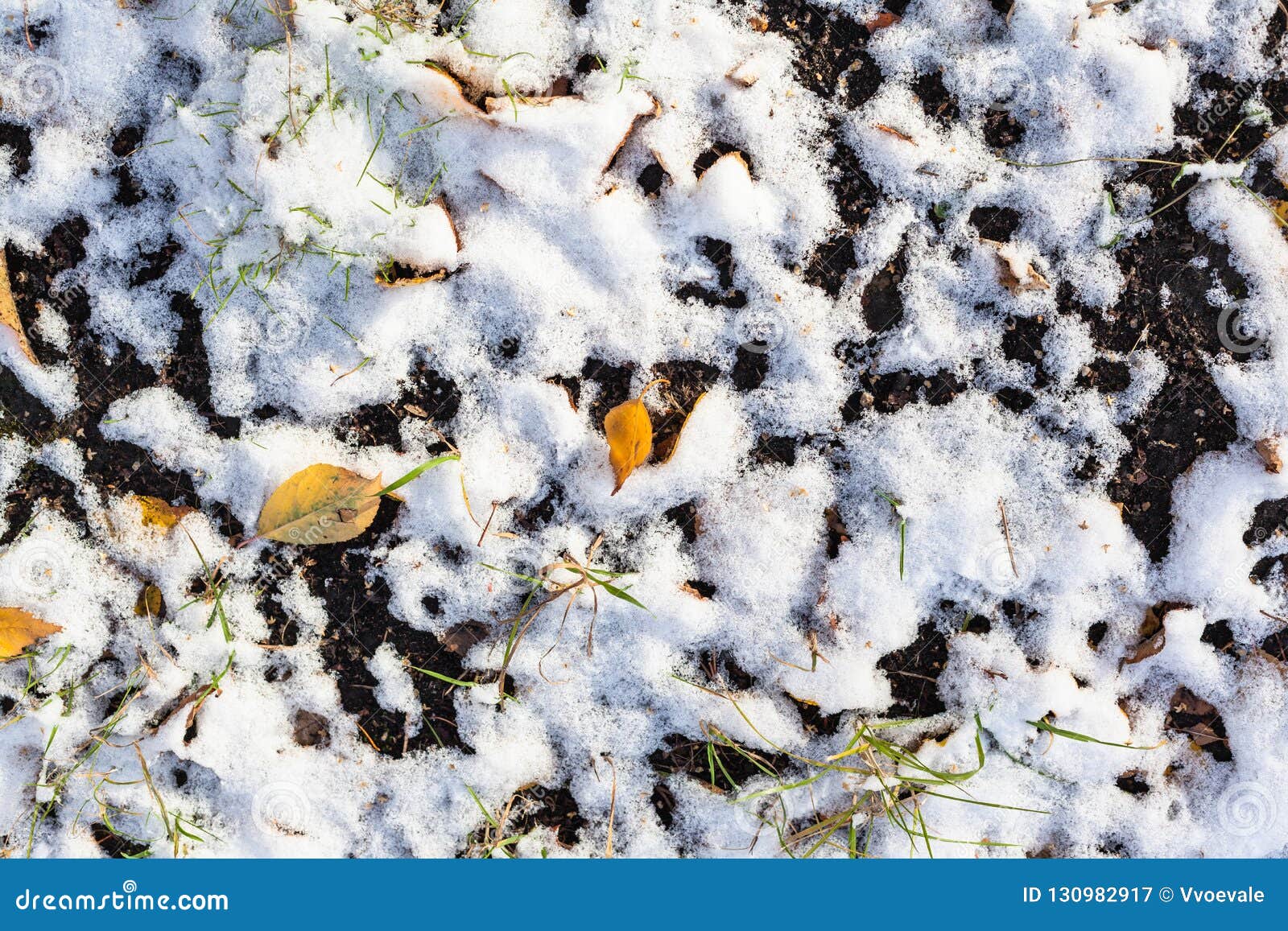 Fallen Leaves and Snow on Ground in Autumn Stock Image - Image of ...