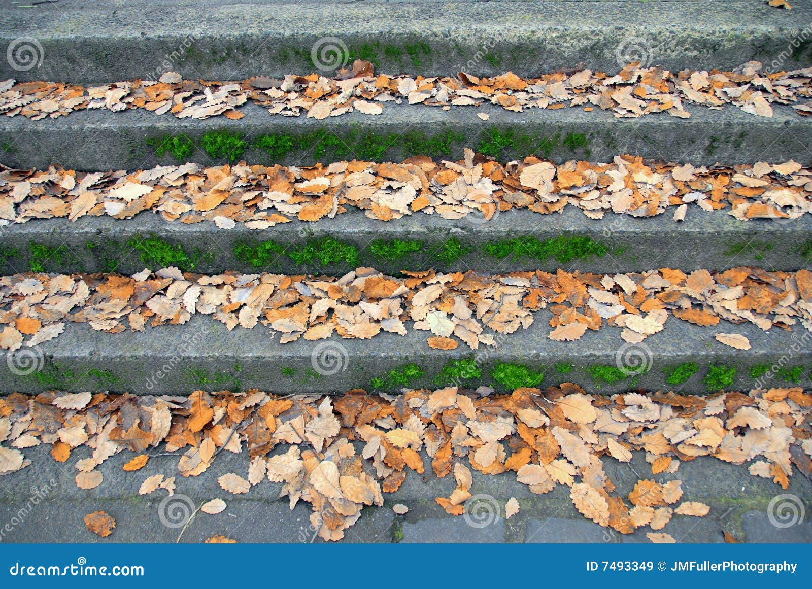 Fallen Leaves on Walkway Steps. Stock Image - Image of fallen, stone ...