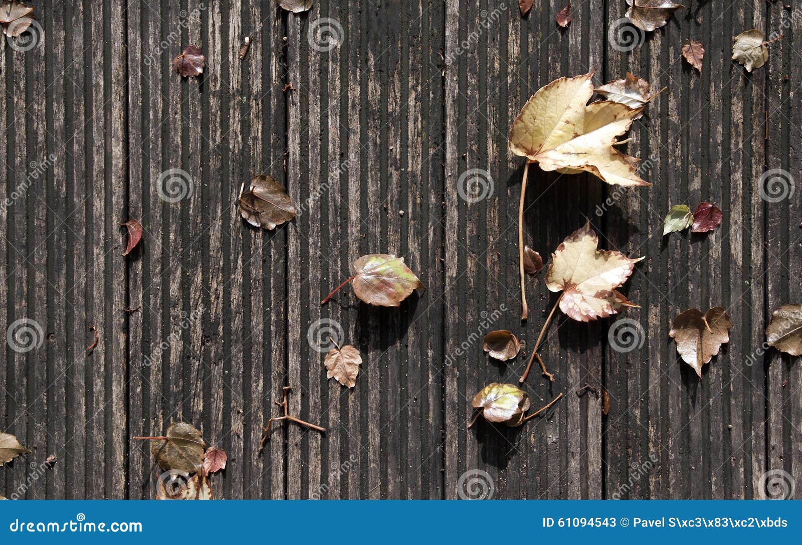 Fallen Leaves on the Wooden Deck Stock Image - Image of deck, scattered ...