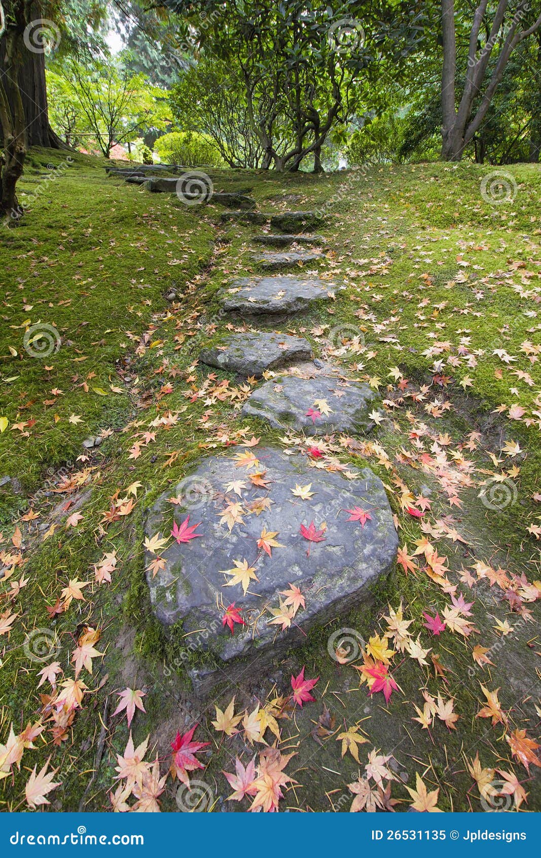 Leaves The Steps Royalty-Free Stock Image | CartoonDealer.com #102752440