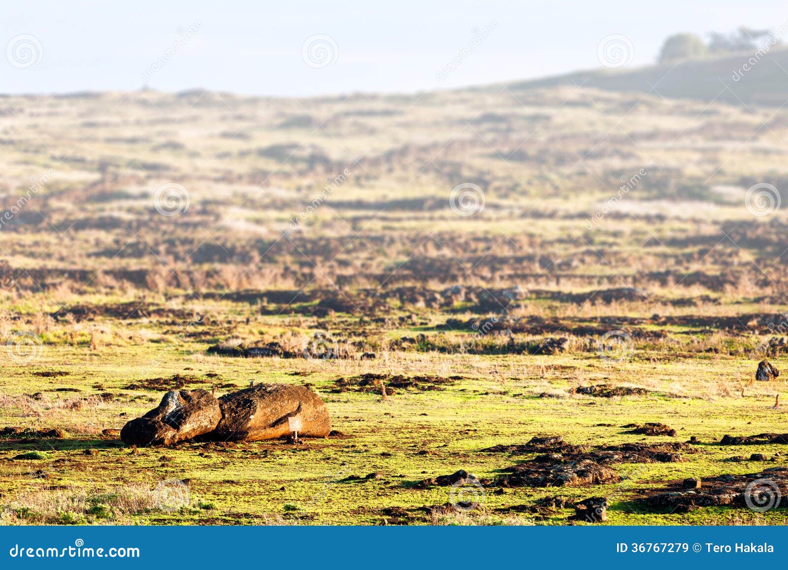 Fallen Moai Statues At Ahu Akahanga - Easter Island, Chile Stock Image ...