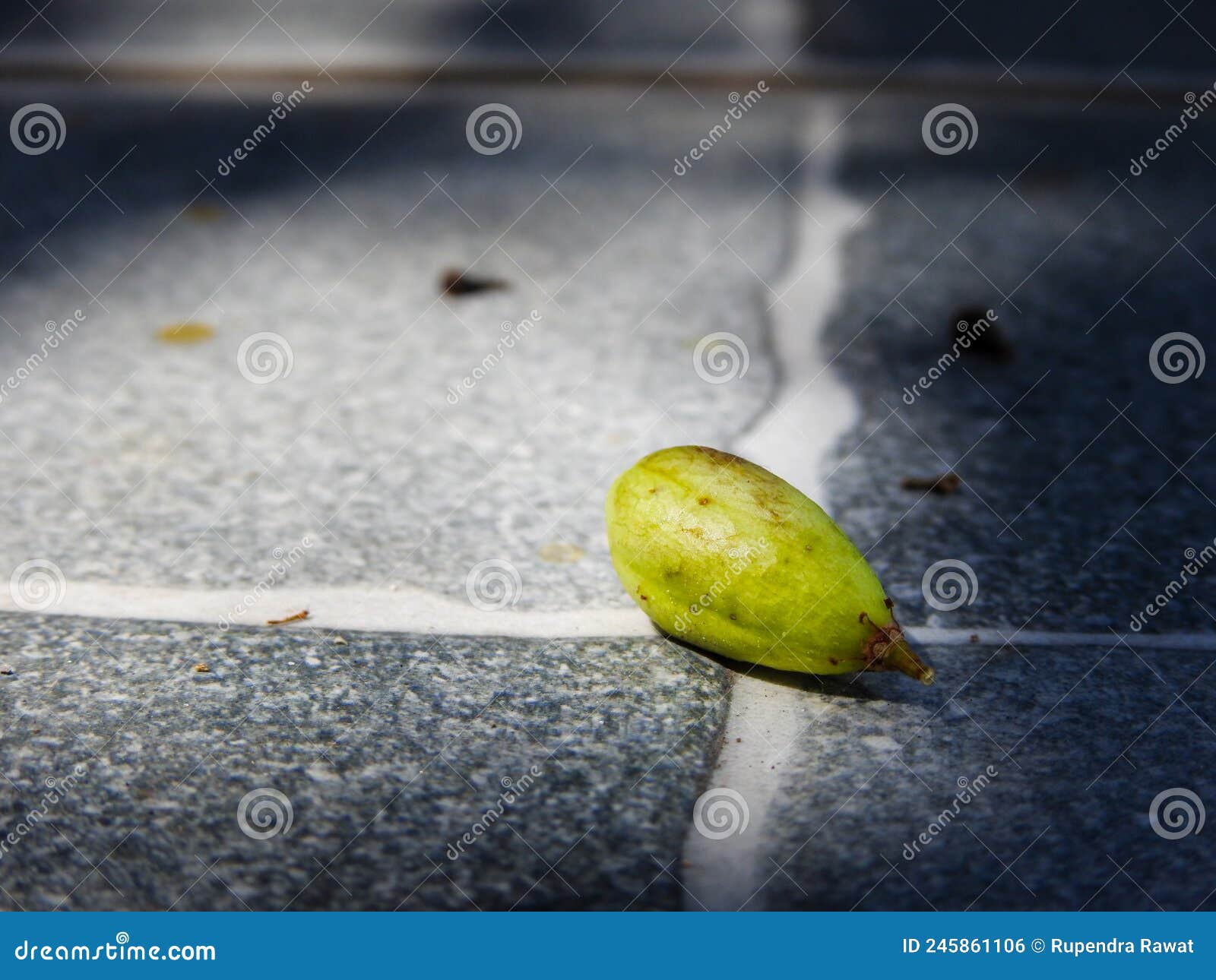 Indian Yoga Fruit Tree Stock Photos - Free & Royalty-Free Stock Photos ...