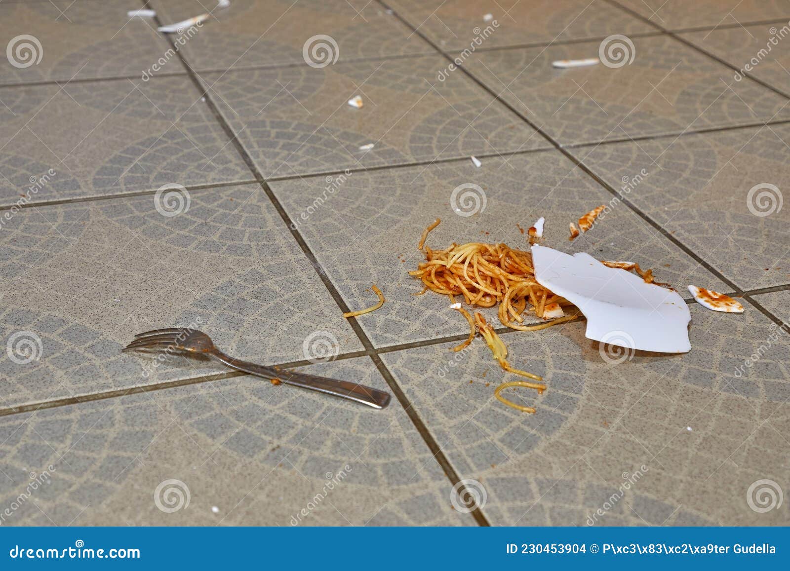 Fallen Plate of Pasta in the Kitchen Floor Stock Photo - Image of ...