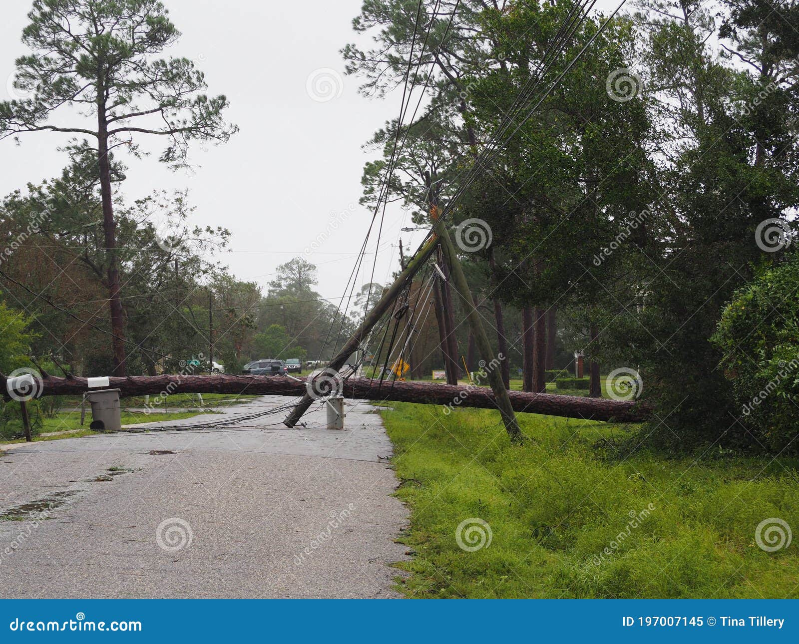 Fallen Power Pole after Hurricane Sally Stock Image - Image of causing ...