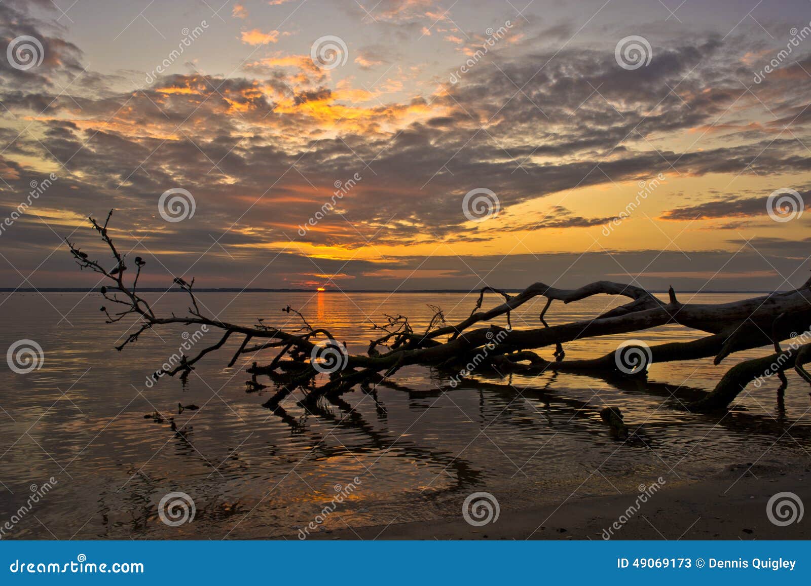 Fallen Sunset stock image. Image of inspiration, beautiful - 49069173