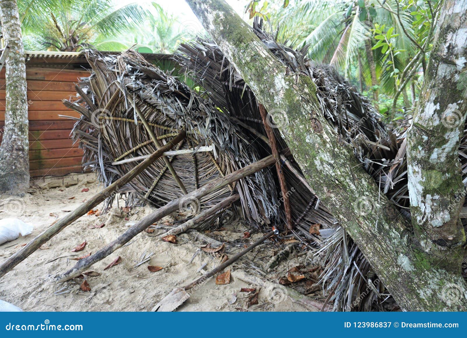 Fallen tent under the tree stock image. Image of toro - 123986837