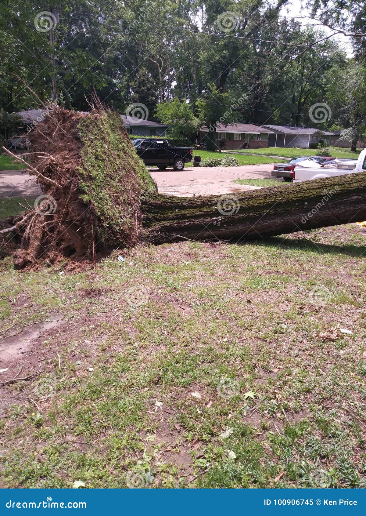 Fallen Timber stock image. Image of fallen, house, timber - 100906745