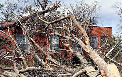 Fallen Tree on Brick House stock photo. Image of state - 19250600