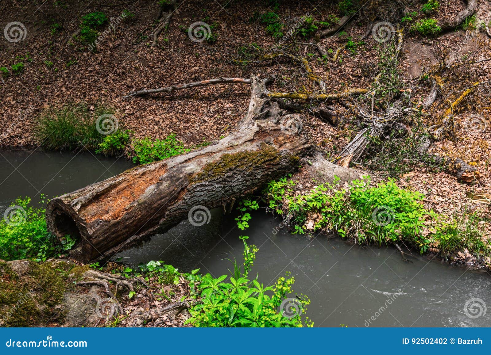 Tree Bridge And River Stock Photo | CartoonDealer.com #16471128