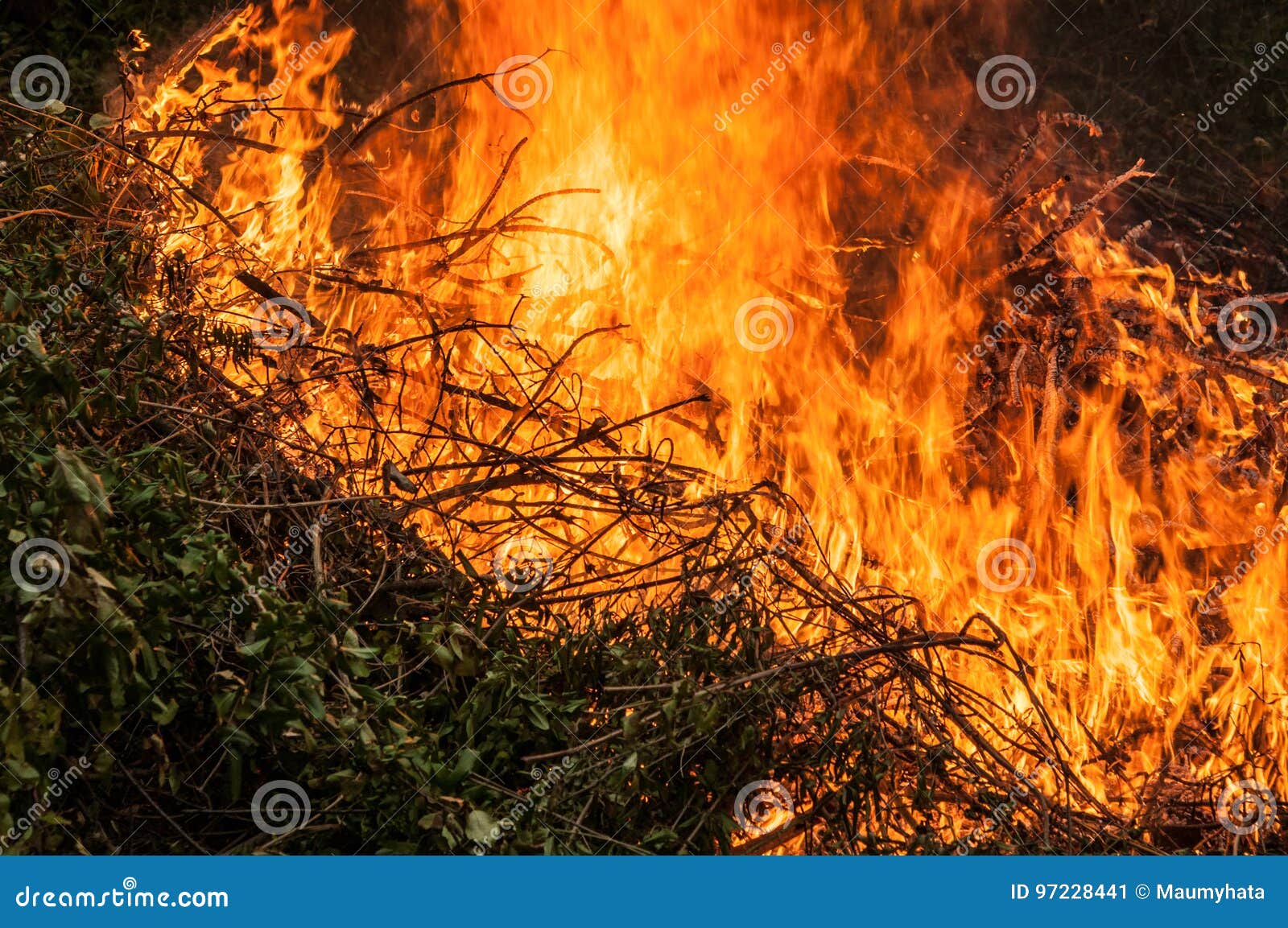 Fallen Tree is Burned To the Ground a Lot of Smoke when Vildfire Stock ...