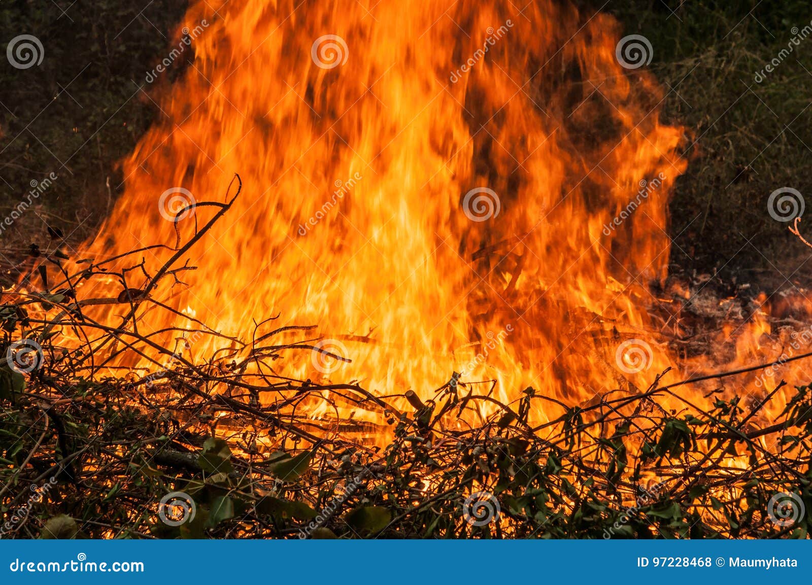 Fallen Tree is Burned To the Ground a Lot of Smoke when Vildfire Stock ...