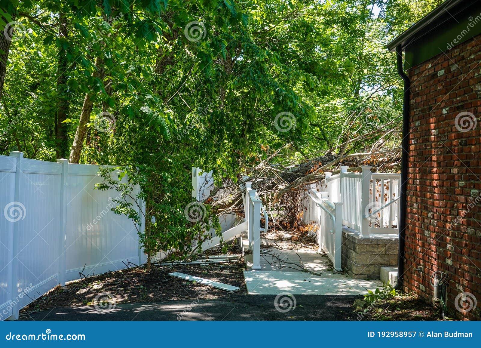 A Fallen Tree Causing Damage To a Fence, Ramp and Backyard Deck after a ...