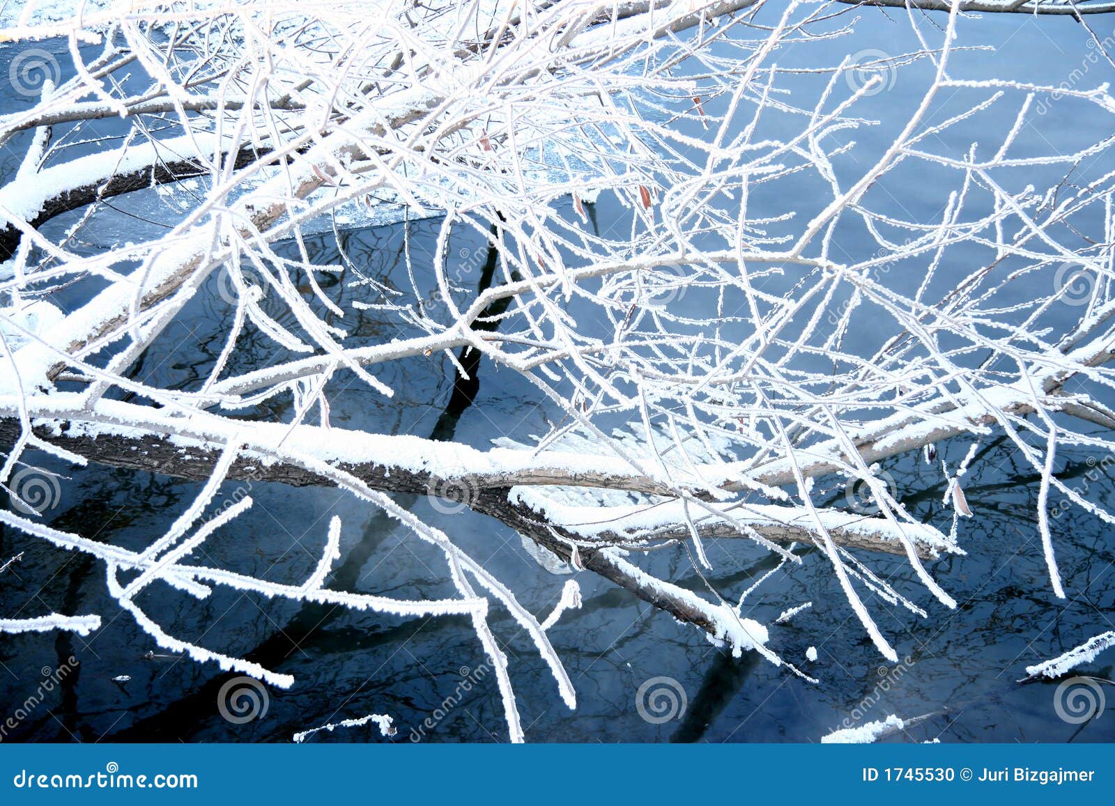 Fallen, a Tree Covered by a Snow . Stock Photo - Image of current ...