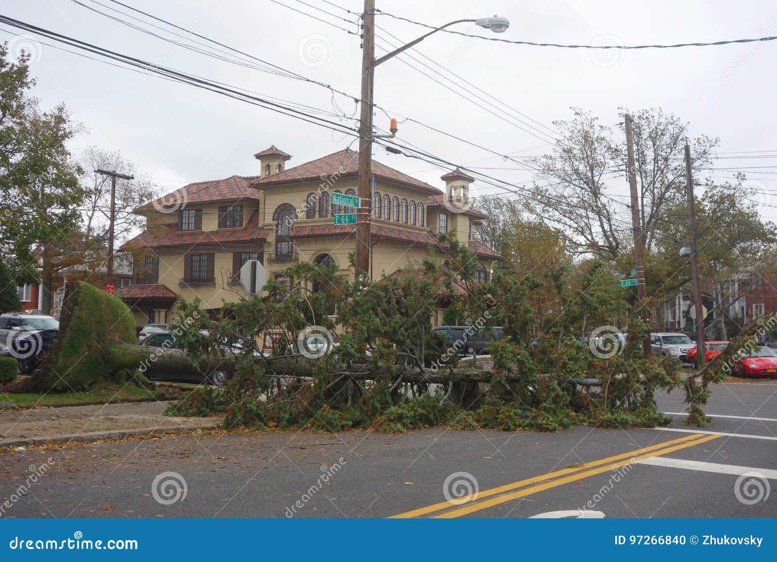 Tree Destroy House Flooding Stock Photos - Free & Royalty-Free Stock ...