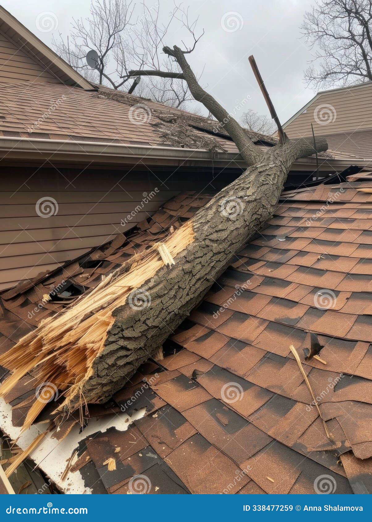Fallen Tree Damages House Roof during Storm Stock Image - Image of wood ...
