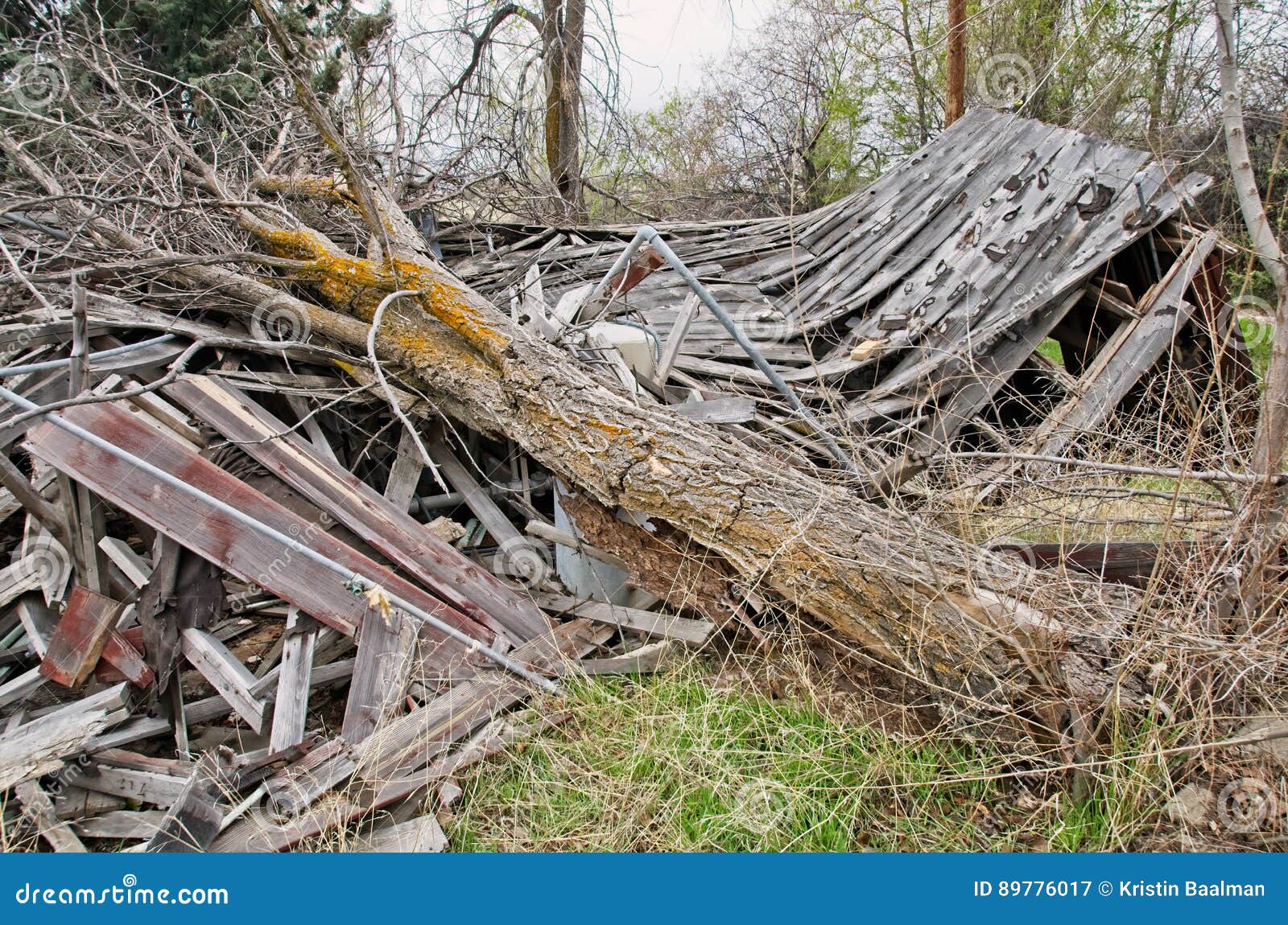 Fallen Tree on Destroyed Wood Building Close Up. Stock Image - Image of ...