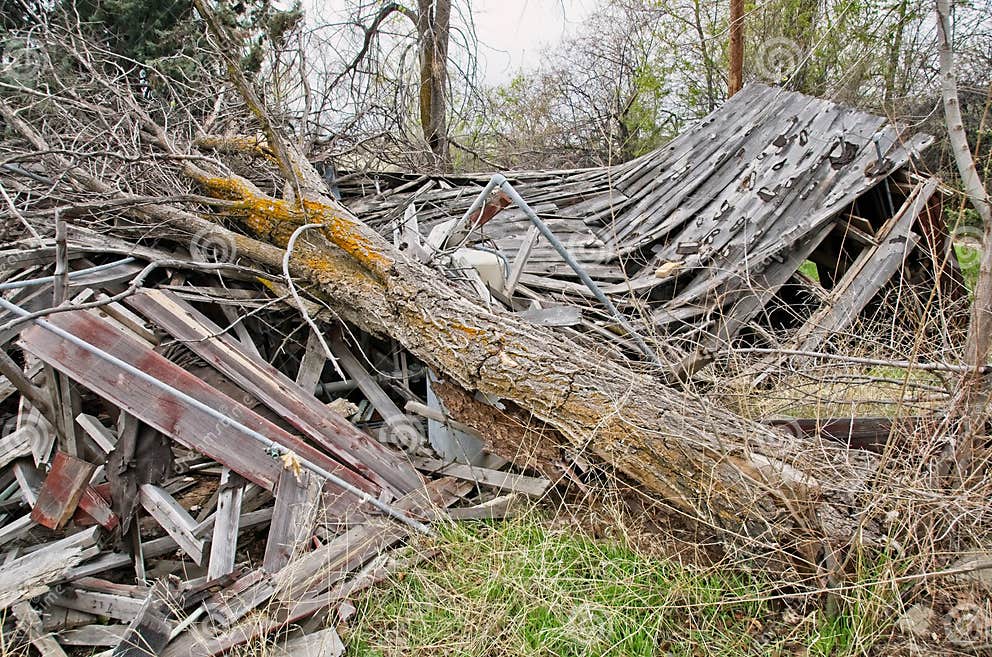 Fallen Tree on Destroyed Wood Building Close Up. Stock Image - Image of ...