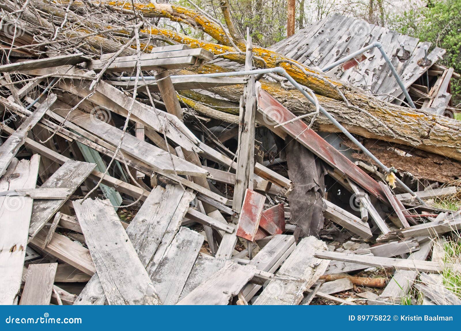 Fallen Tree on Destroyed Wood Building. Stock Photo - Image of small ...