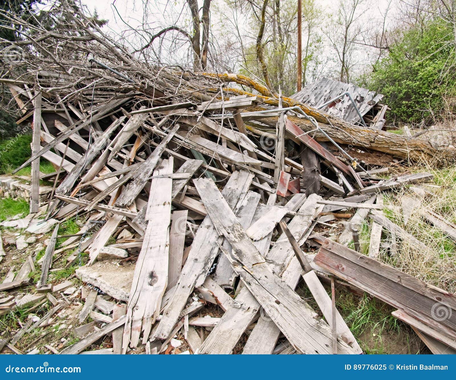 Fallen Tree on Destroyed Wood Building. Stock Image - Image of fallen ...