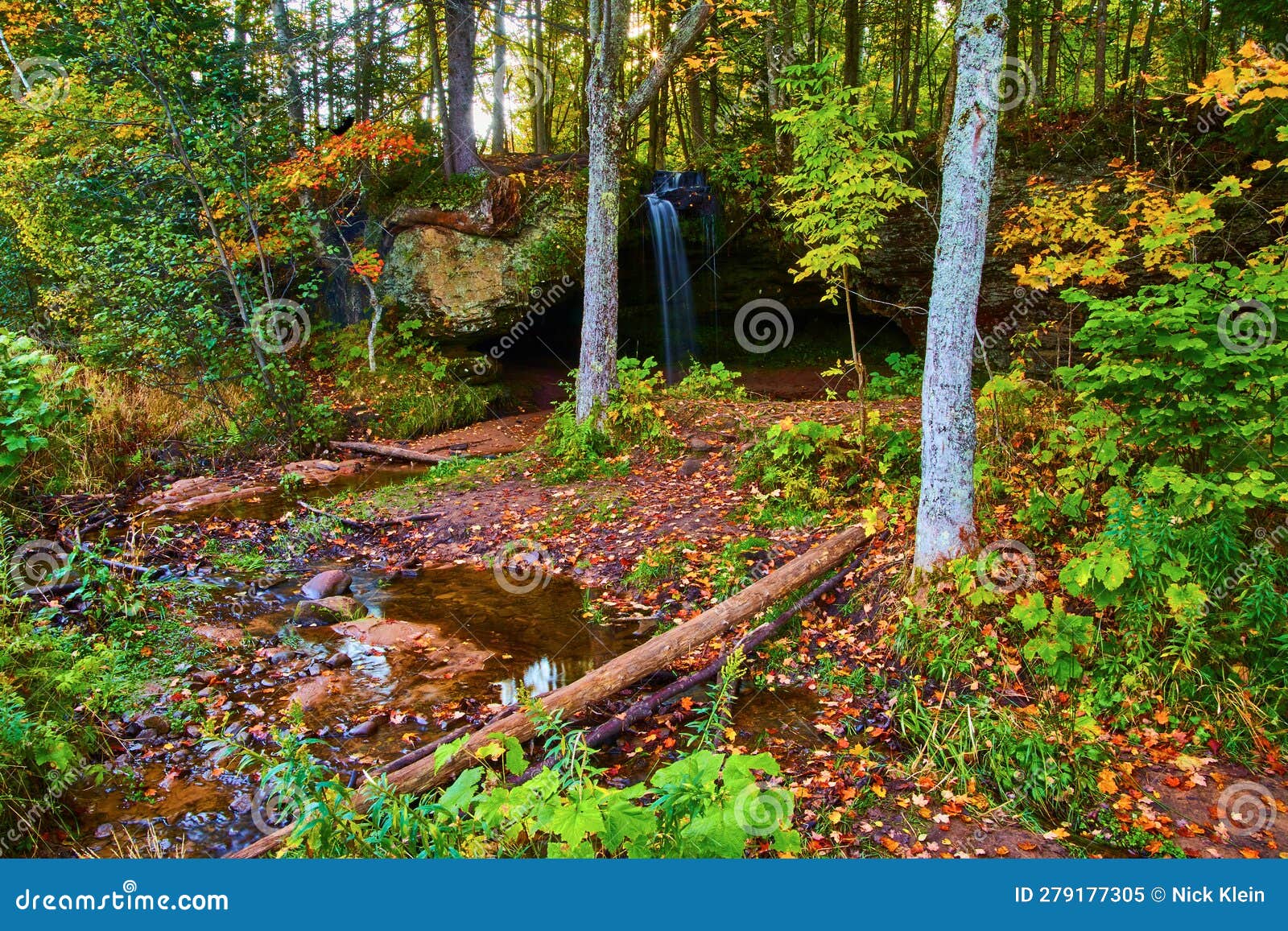 Fallen Tree in Fairytale Forest with Waterfall in Background Flowing ...