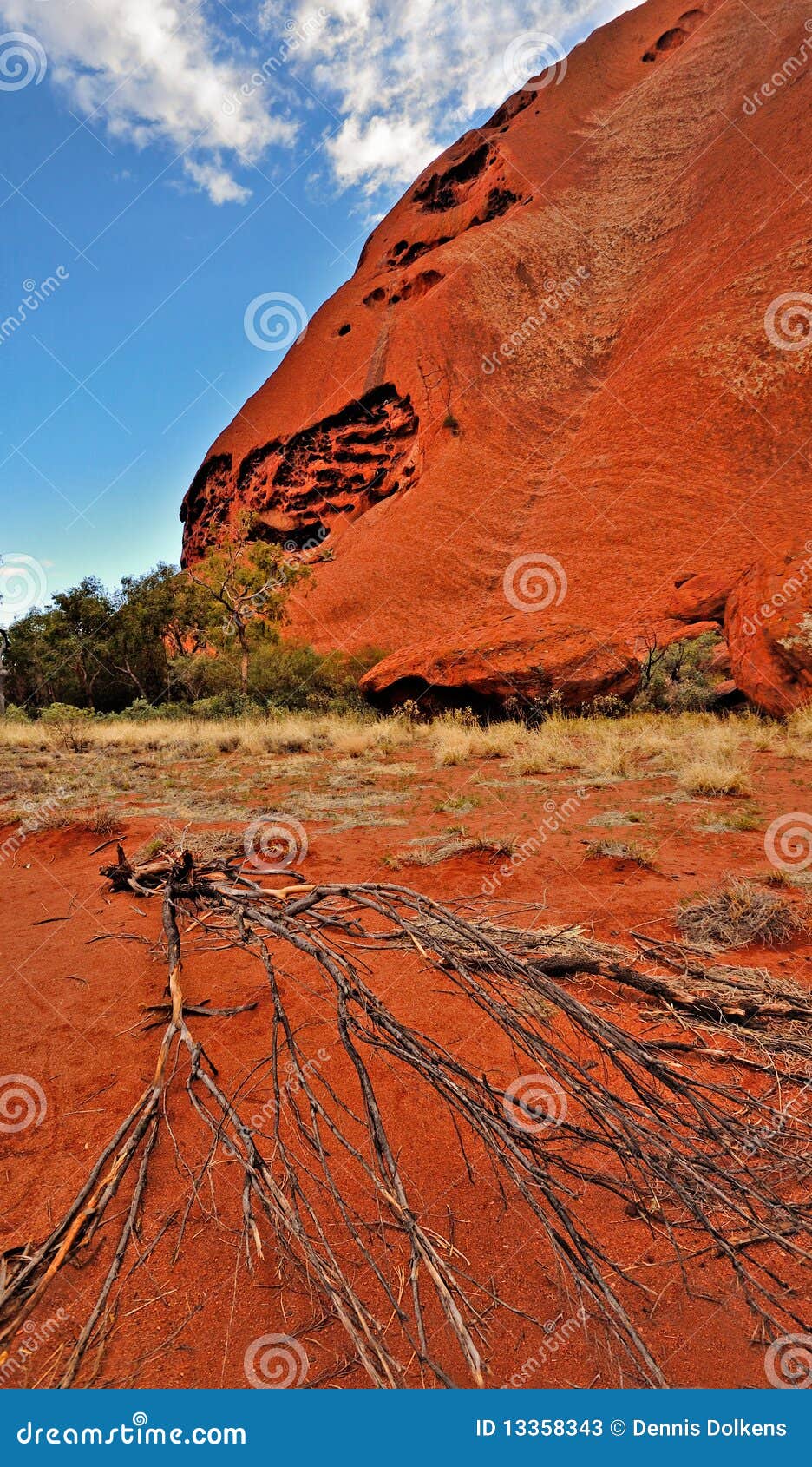 Fallen Tree in Front of Uluru (Ayers Rock) Editorial Stock Photo ...