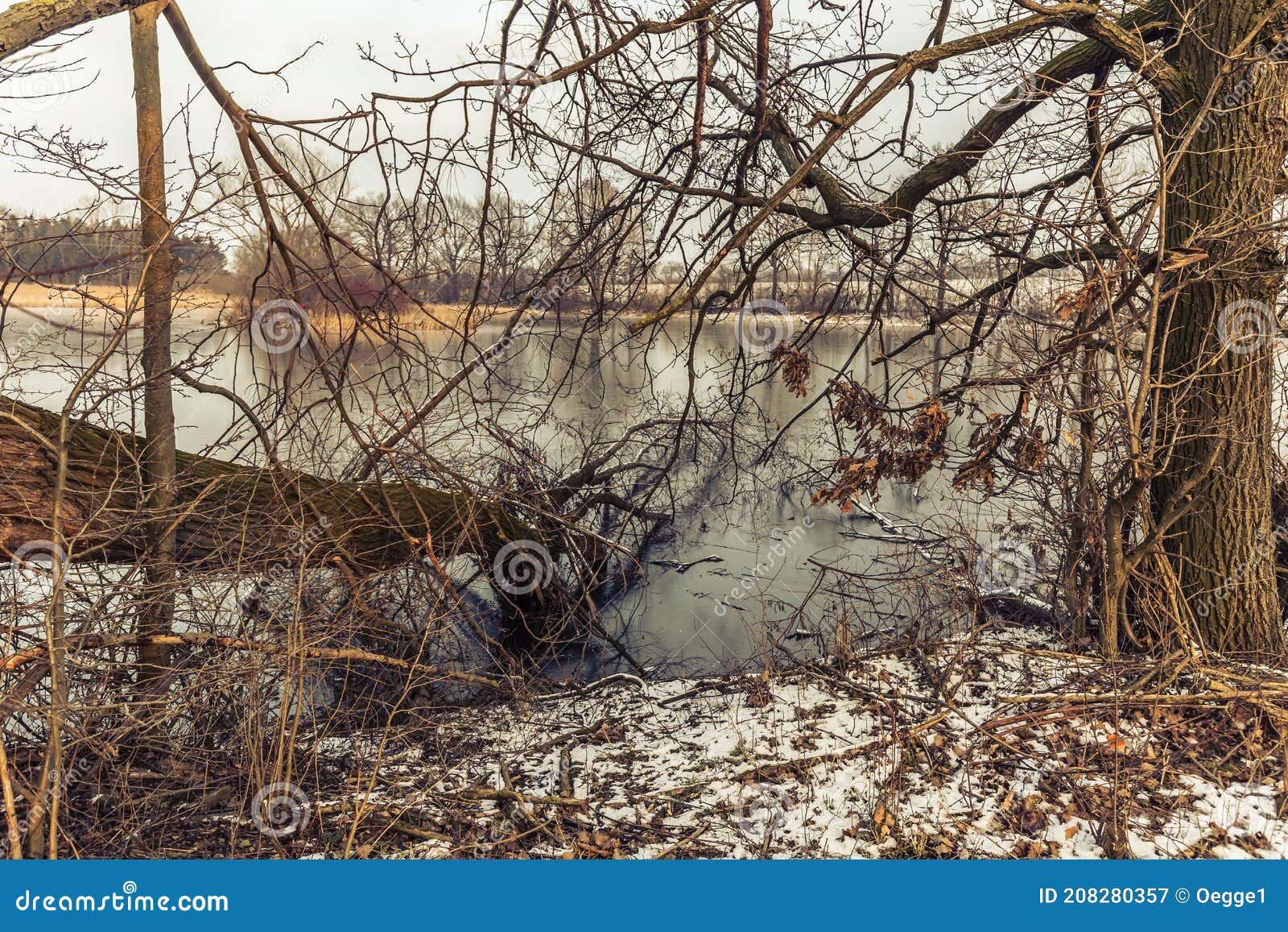 Fallen tree in frozen lake stock image. Image of lake - 208280357