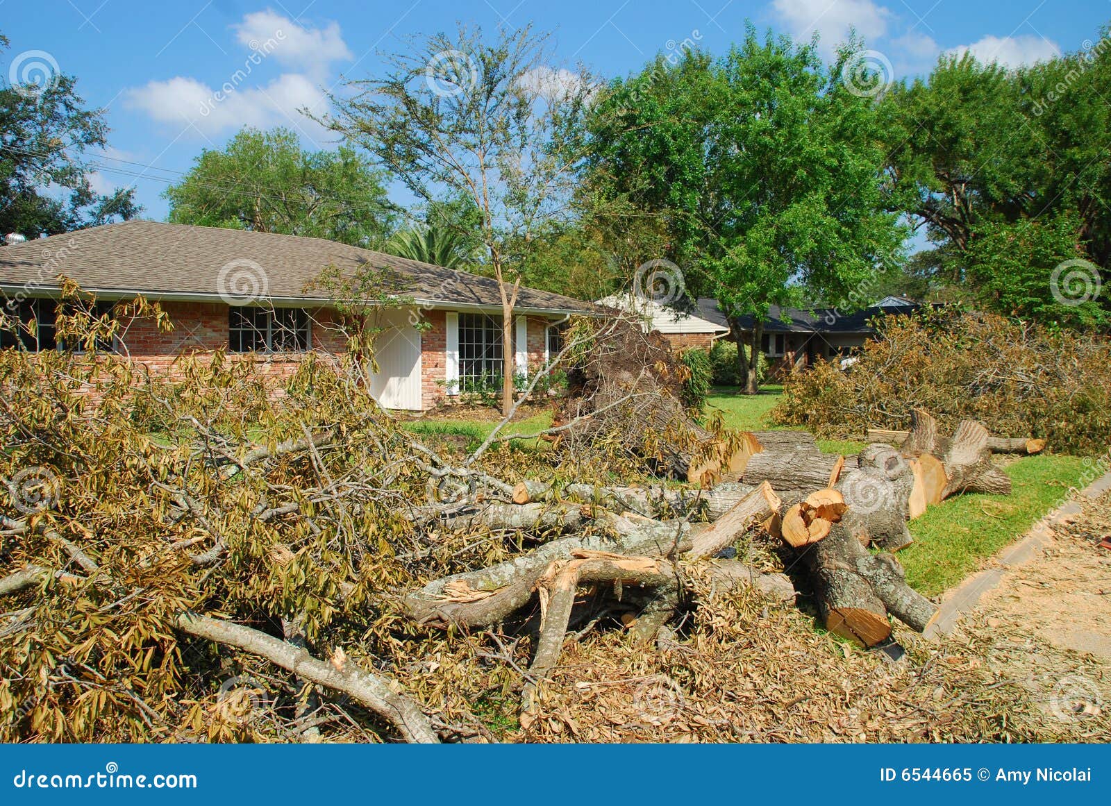 Fallen tree and home stock image. Image of wood, home - 6544665