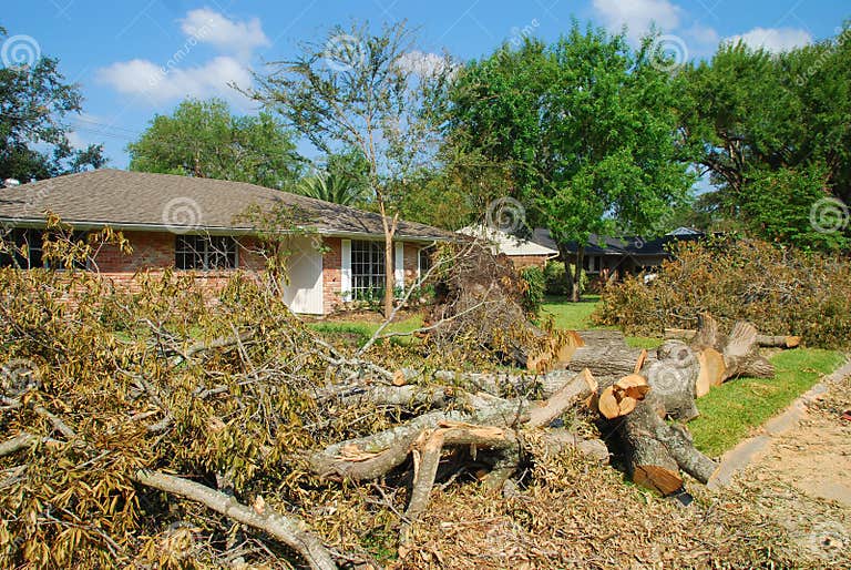 Fallen tree and home stock image. Image of wood, home - 6544665