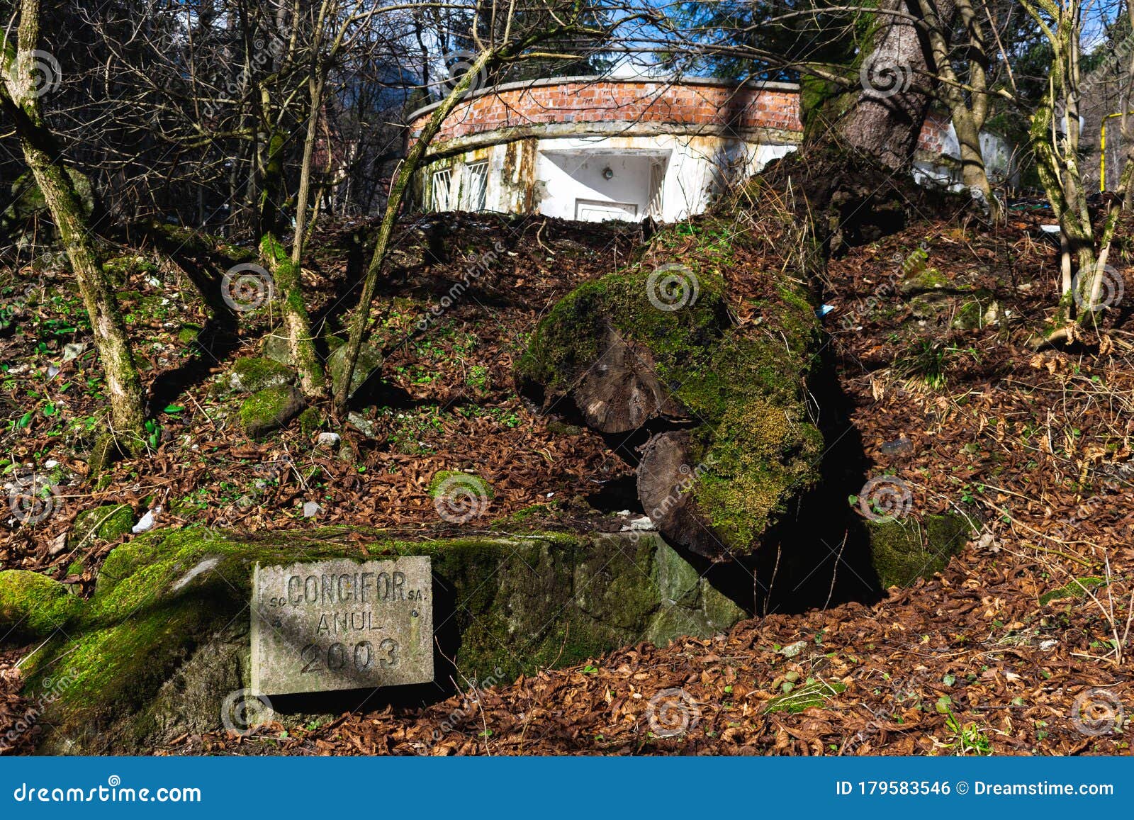 Fallen Tree with a House Behind Stock Photo - Image of marble ...
