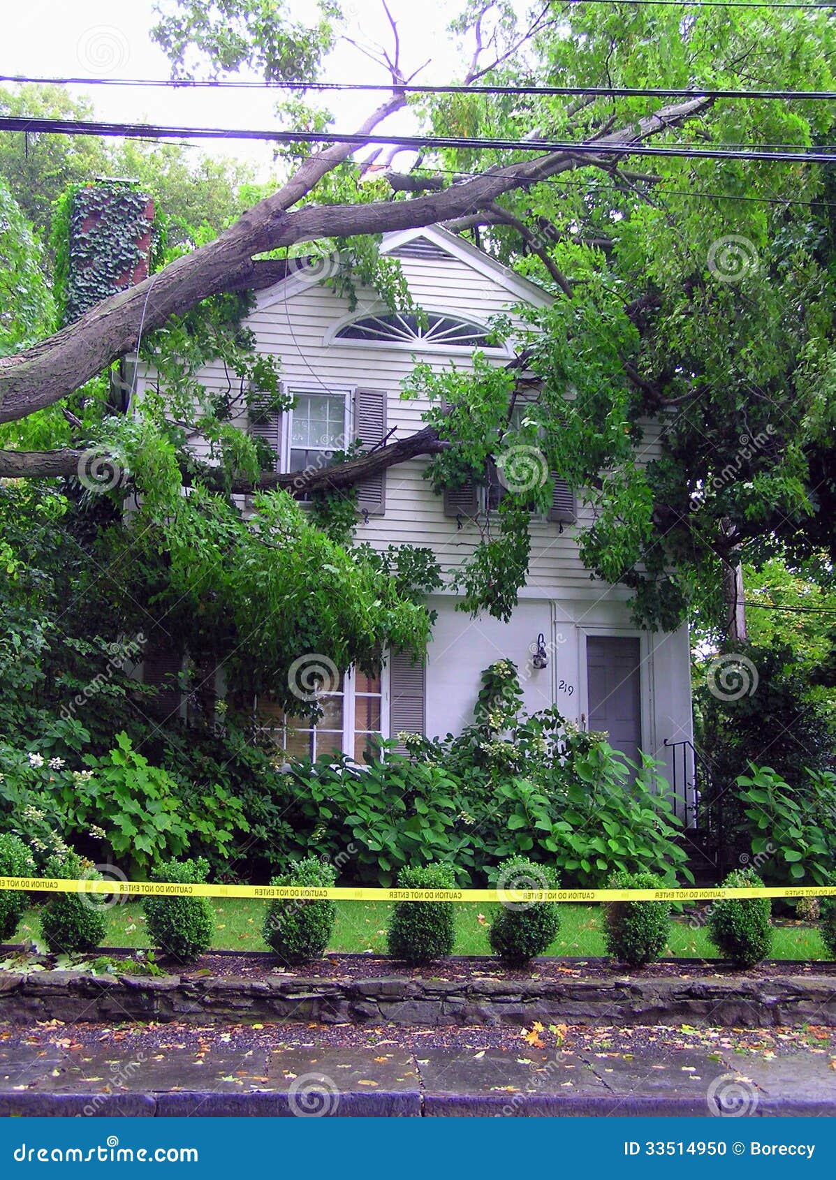 Fallen Tree on House - Hurricane Damage Stock Photo - Image of claim ...
