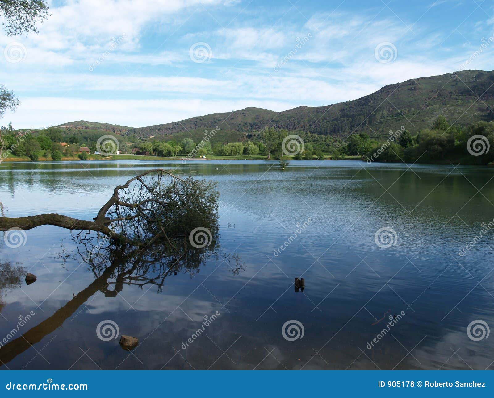 Fallen tree over lake stock photo. Image of shadow, clouds - 905178