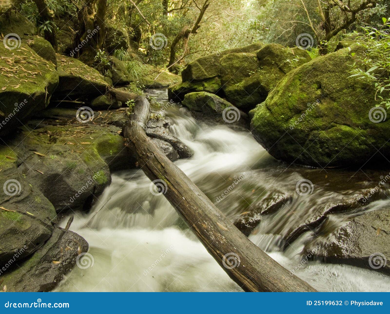 Fallen Tree Over Secluded Stream and Waterfall Stock Photo - Image of ...