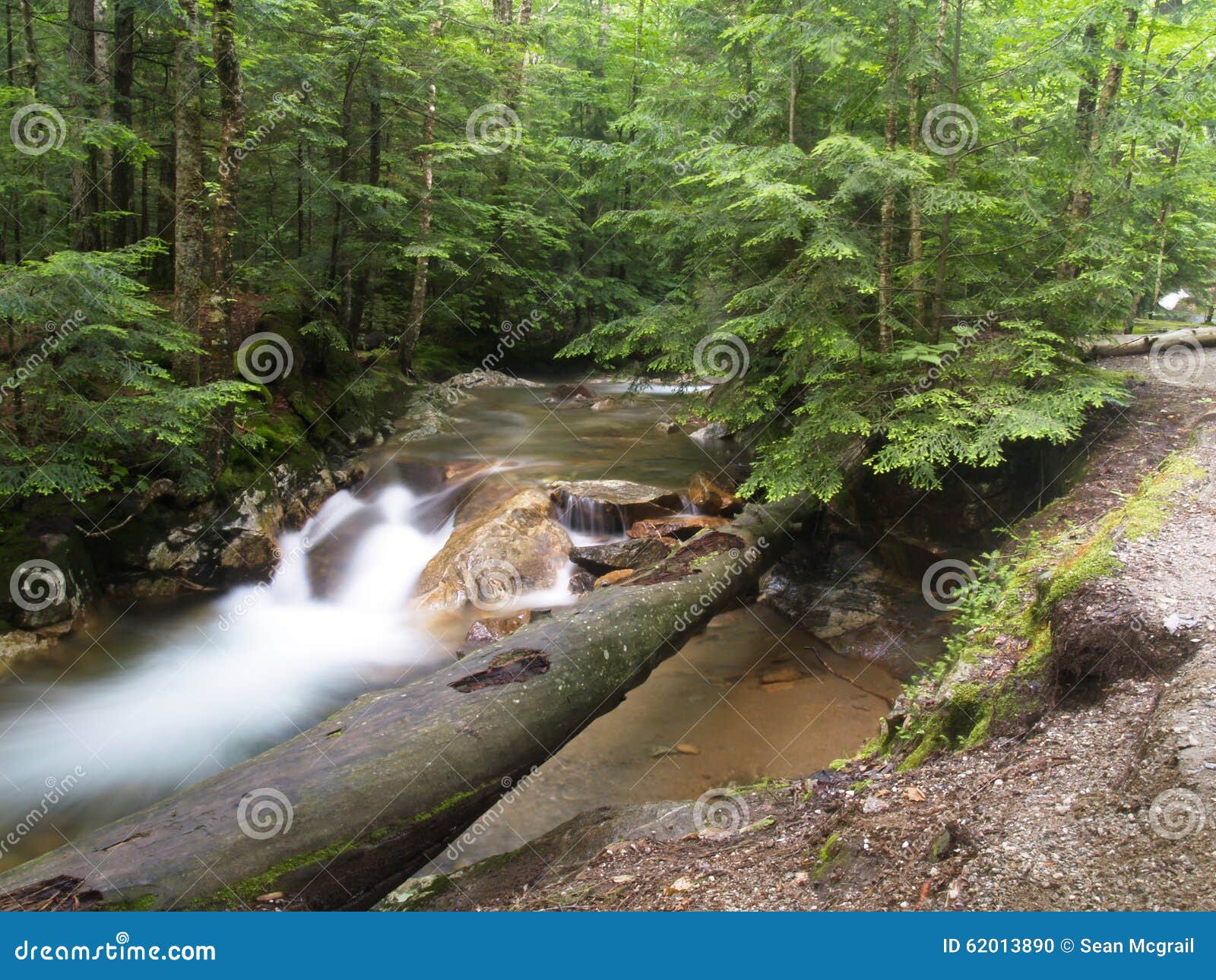 Fallen tree over stream stock photo. Image of speed, green - 62013890