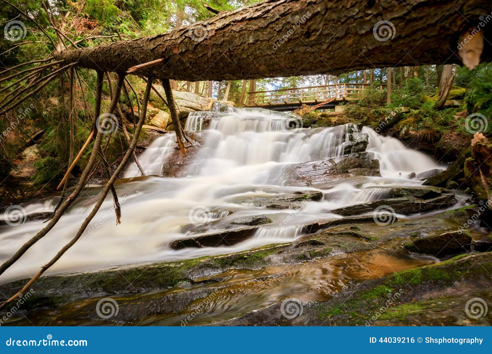 Fallen Tree Over a Waterfall Stock Photo - Image of potts, peaceful ...