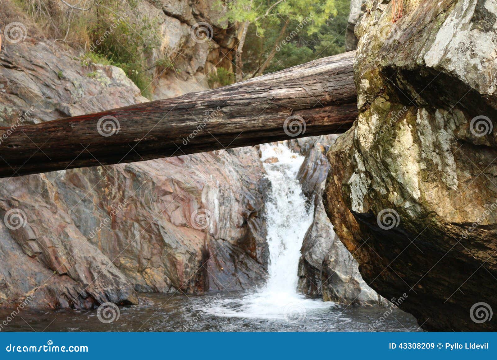 Fallen Tree in a River on a Valey Stock Image - Image of garden, clean ...