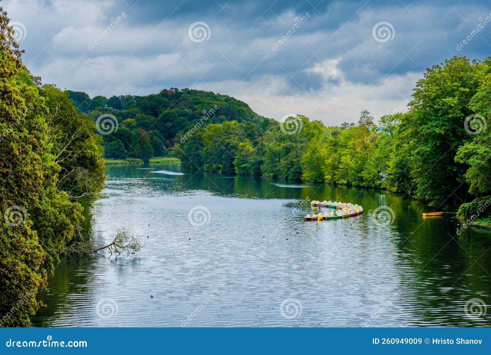Fallen Tree in Water at River. Nature Stock Image - Image of beautiful ...