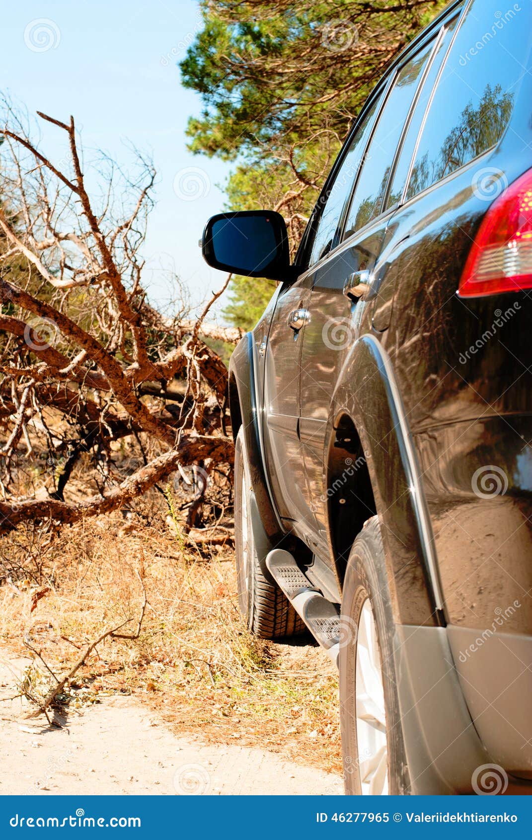 Fallen Tree on the Way a Big Black Car in the Woods Stock Image - Image ...