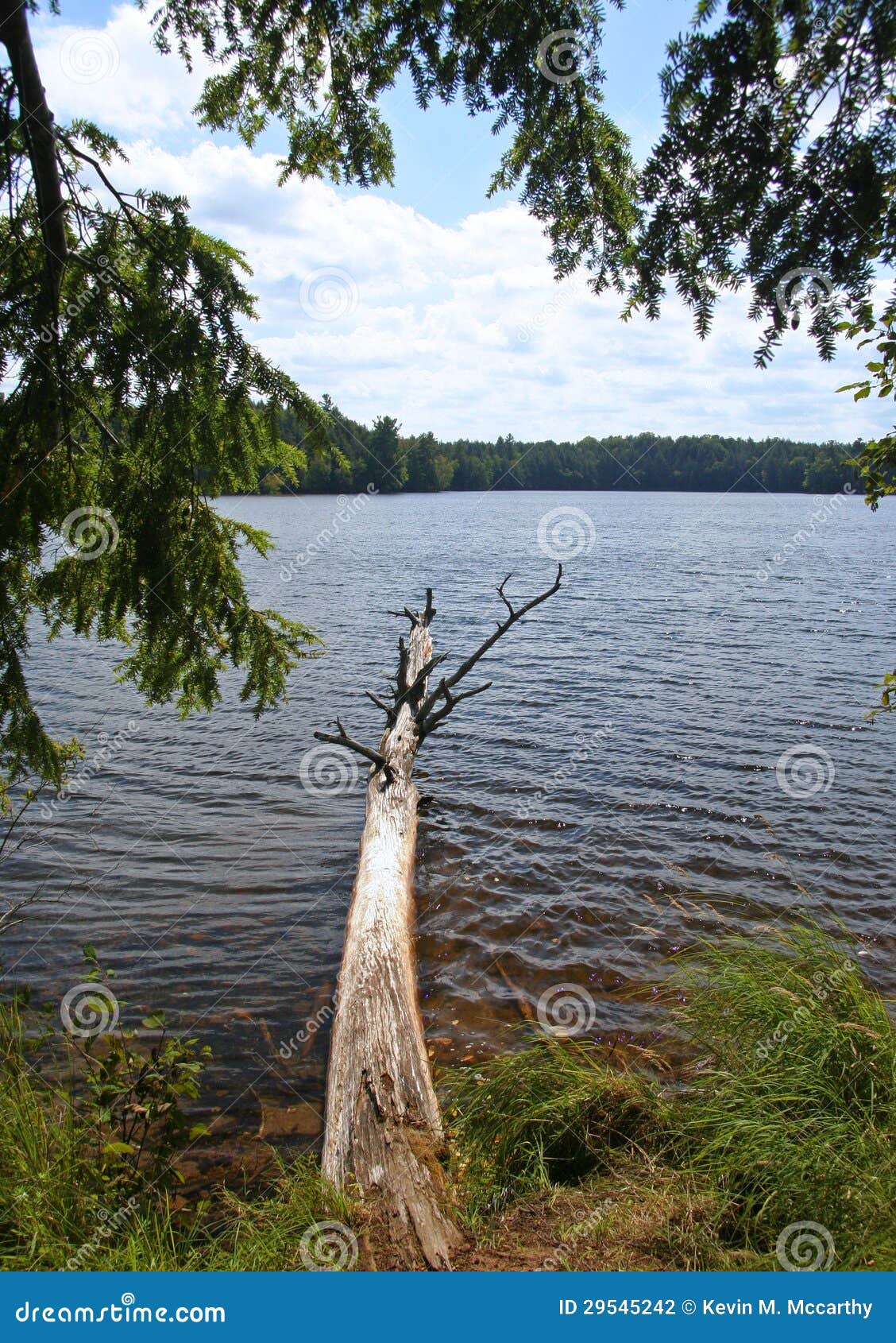 Fallen Tree in Wilderness Lake Stock Photo - Image of clouds, remote ...