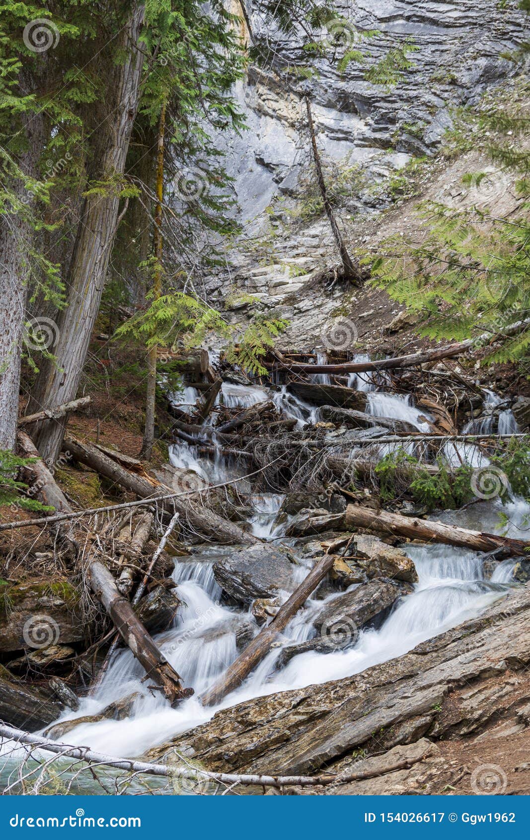 Fallen Trees in an Alpine River Stock Image - Image of park, hiking ...