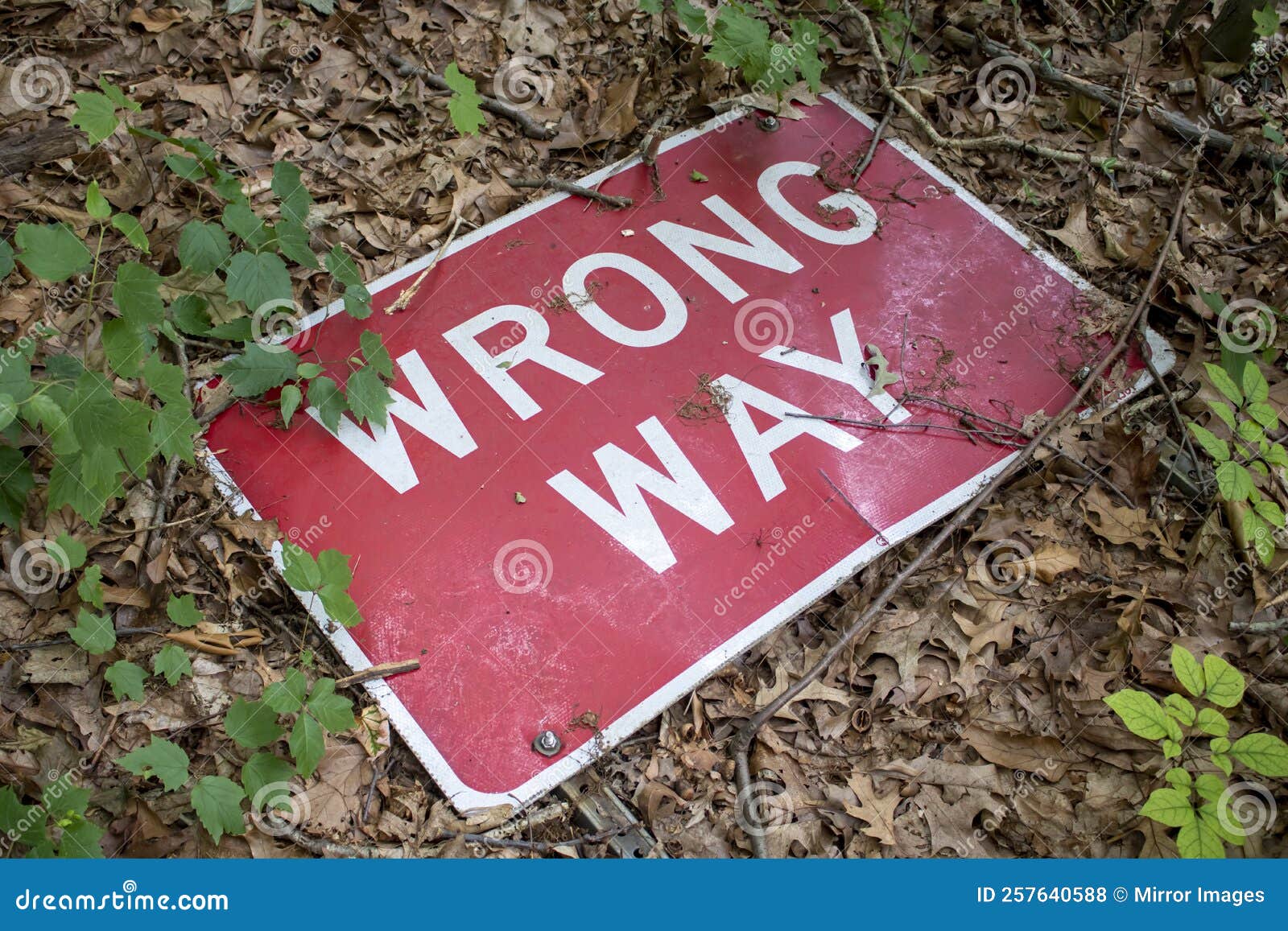 Wrong Way Red and White Street Sign Broken and on the Forest Ground ...