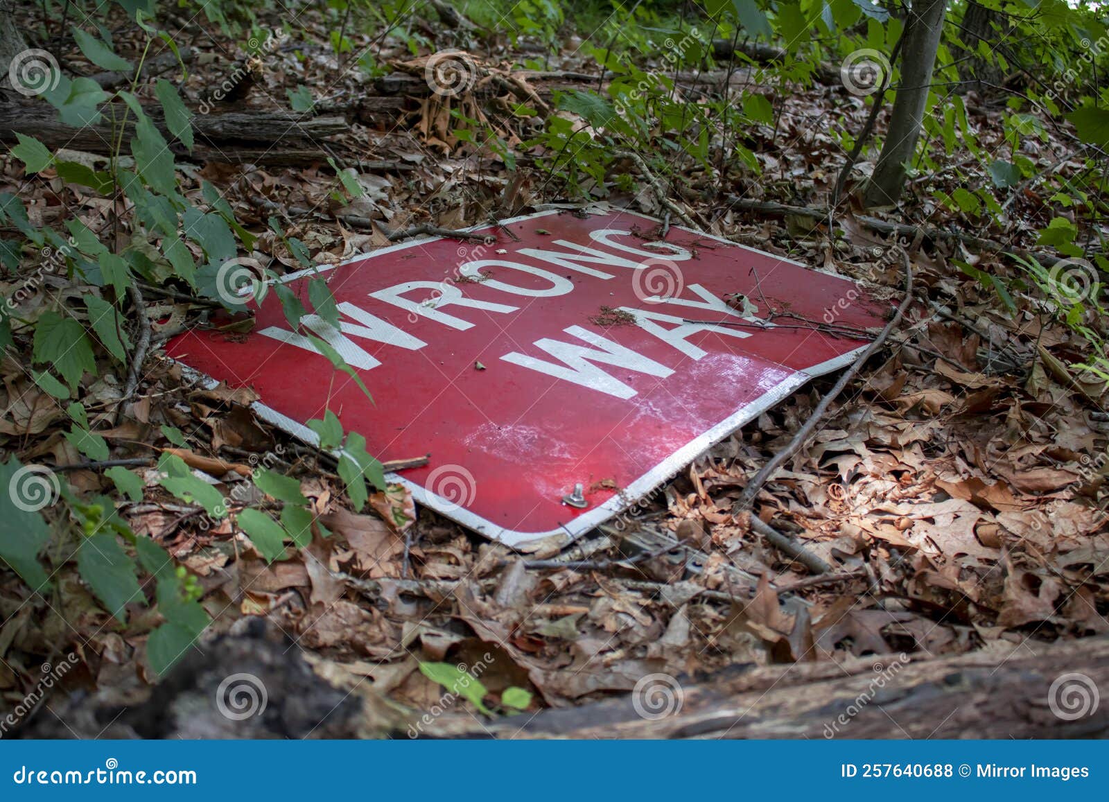 Wrong Way Red and White Street Sign Broken and on the Forest Ground ...